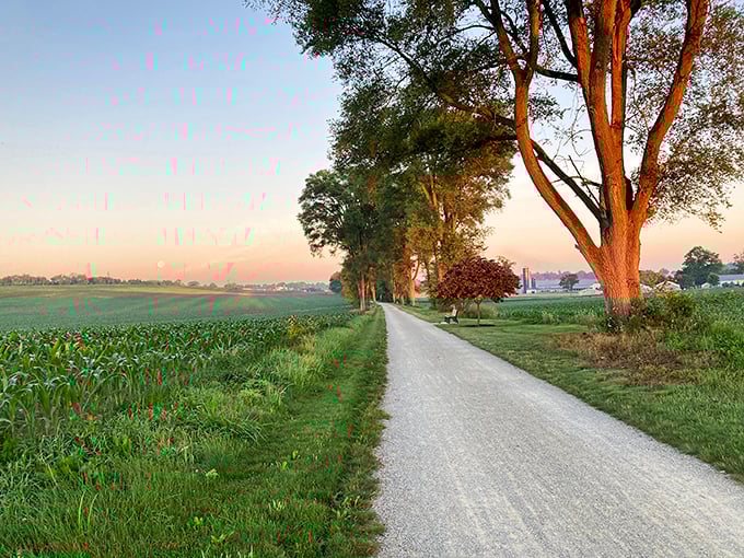 Country roads on Lititz's outskirts offer golden-hour magic, where cornfields and sunset conspire to make even non-photographers reach for their phones.