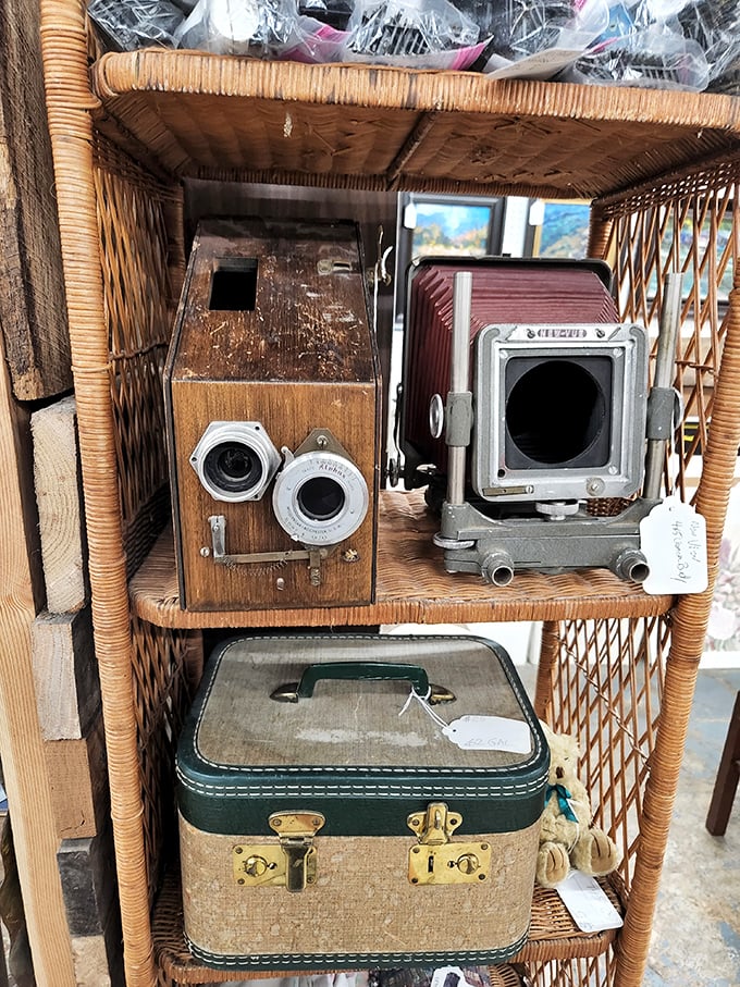 Before selfies and filters, these mechanical marvels captured moments on actual film – with a craftsmanship that makes modern cameras look like toys.