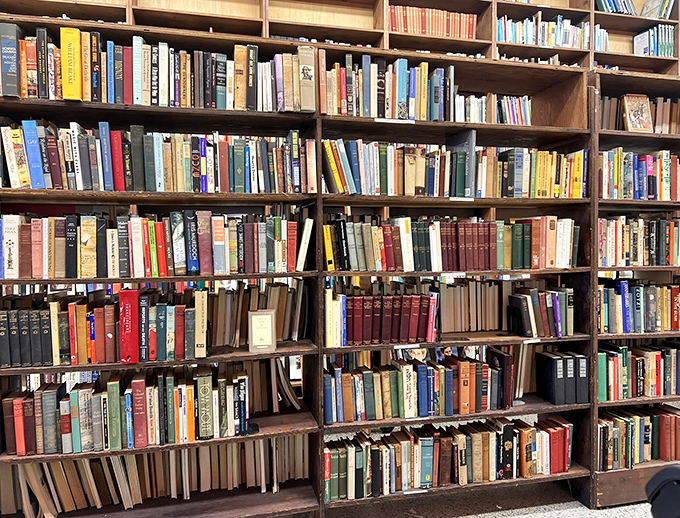 Books stacked with the organized chaos of a professor's office. Each spine represents a different world waiting to be opened.