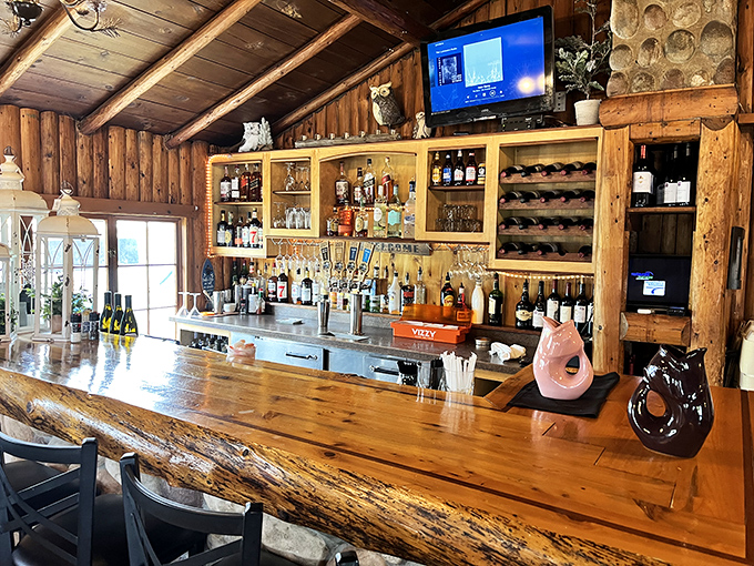 A bar crafted from logs that remember the forest. This is where stories flow as smoothly as the local brews on tap.