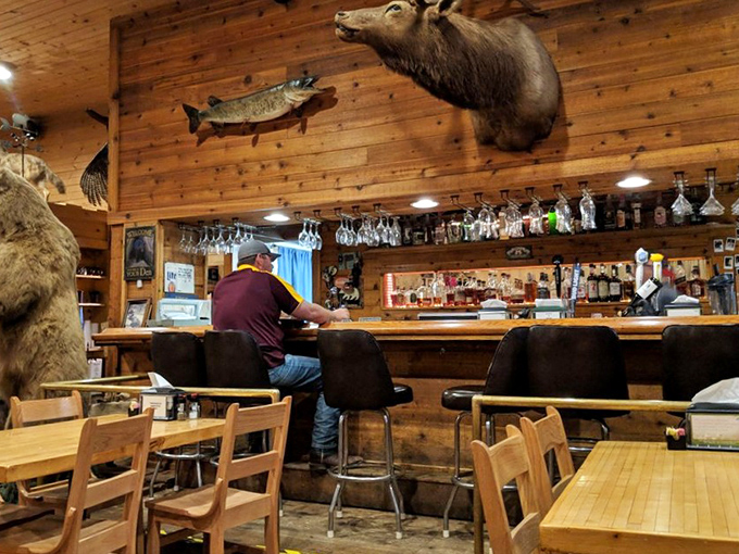 The bar area where hunting trophies watch over your drinking decisions. That elk seems particularly judgmental about your cocktail selection.