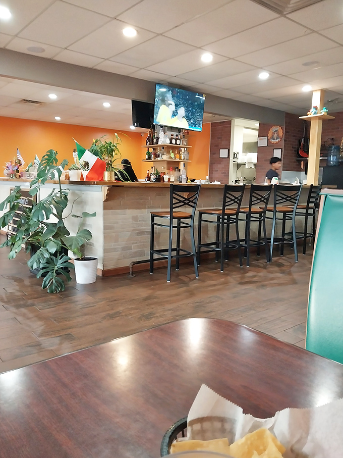 The bar area feels like that cool friend's kitchen where everyone naturally gathers. Mexican flag proudly displayed, plants thriving&mdash;just like the conversations here.