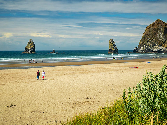 Cannon Beach stretches out like nature's welcome mat, where dramatic sea stacks punctuate golden sands and endless possibilities.