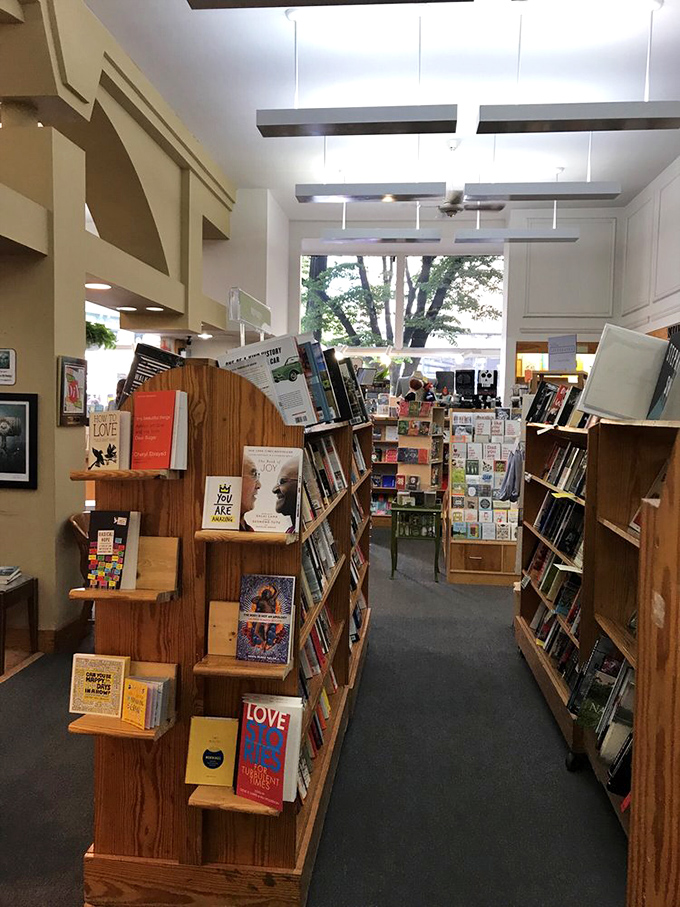 A satisfying sight for history buffs &ndash; these shelves hold the stories that shaped our world, all waiting for curious minds.