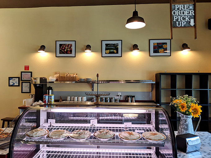 A display case that deserves its own security detail - protecting treasures more valuable to your happiness than whatever's in your retirement account.