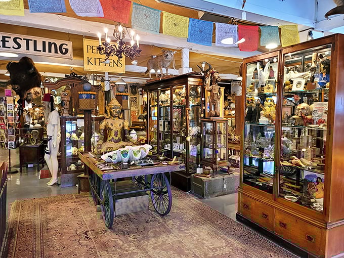 Prayer flags flutter above display cases housing treasures from distant lands. That Buddha statue has more zen than I've achieved in my entire life.