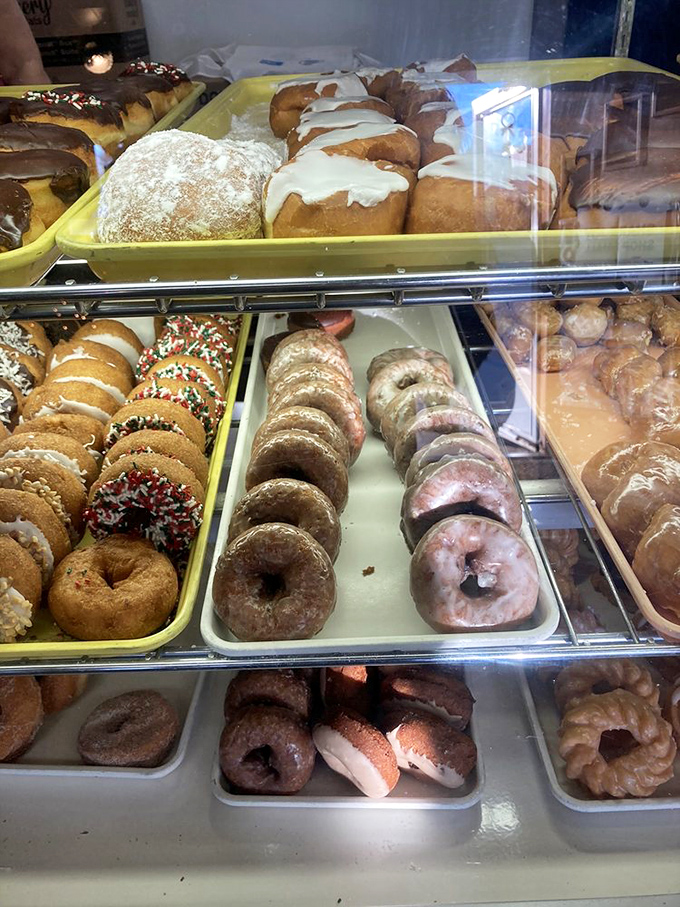 The display case at Olsen's is like a museum of deliciousness where everything is priced for the people. Democracy never tasted so sweet.