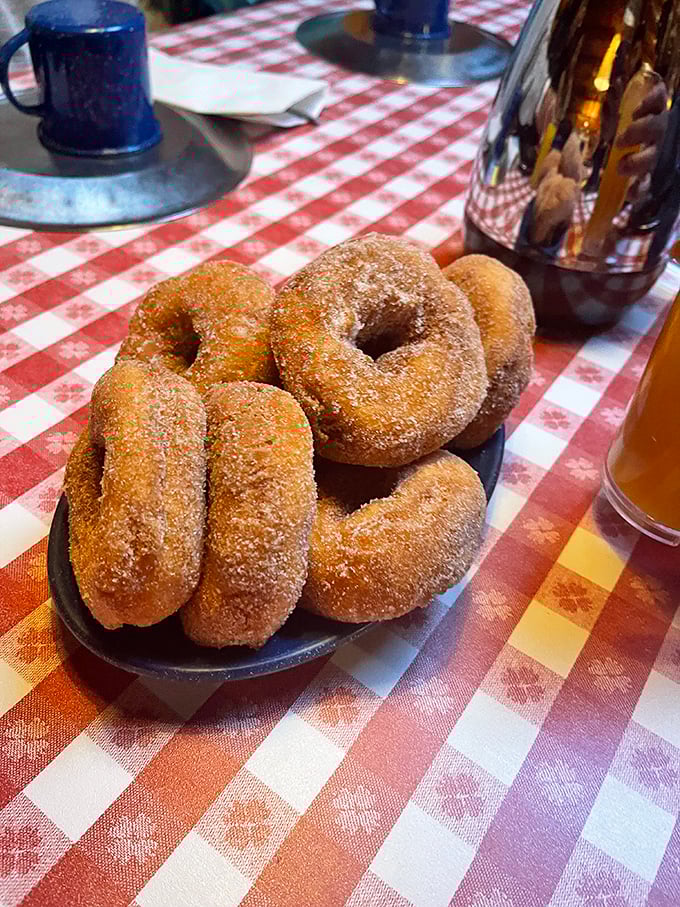 These donuts aren't just fried dough&mdash;they're little rings of joy dusted with cinnamon-sugar memories. One bite and you're hooked for life.