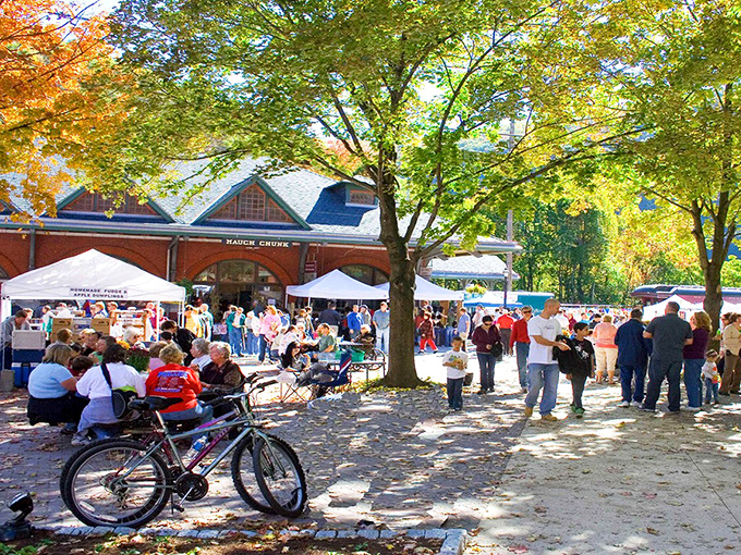 Fall festivals transform the train station plaza into a community living room, where strangers become friends over local crafts and seasonal treats.