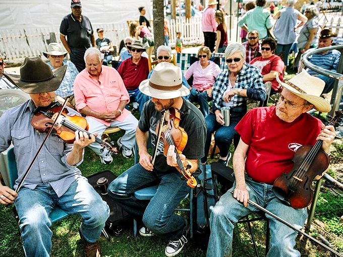 When musicians gather in Mountain View, magic happens&mdash;these aren't performances, they're conversations in a language older than words.