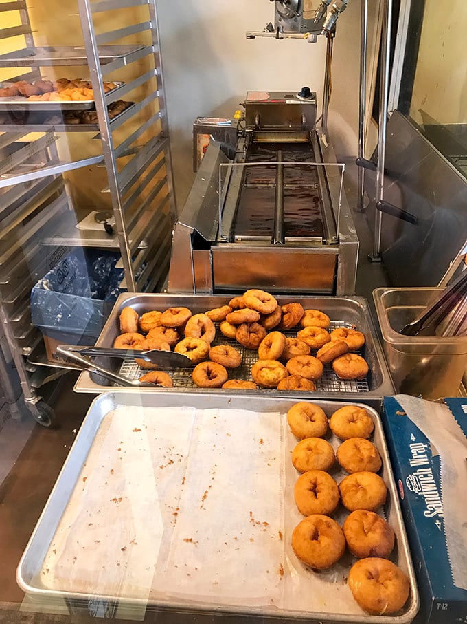 Behind the scenes where the magic happens&mdash;fresh donuts emerging from their oil bath like tiny golden rings of possibility.