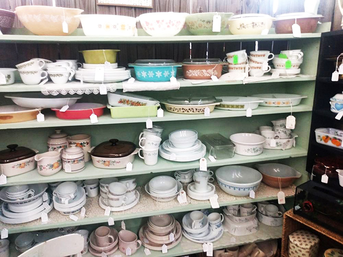 Pyrex paradise! Grandma's kitchen classics line these shelves, each pattern a time machine to Sunday dinners and holiday gatherings past.