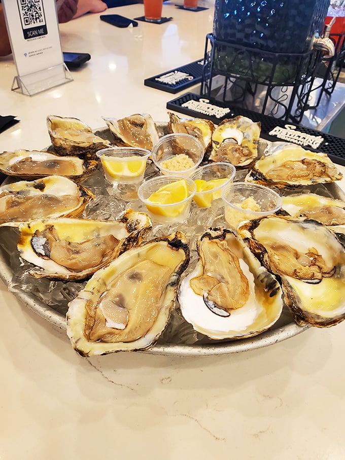 Fresh oysters on the half shell &ndash; nature's perfect appetizer, requiring nothing more than a squeeze of lemon and a moment of gratitude.