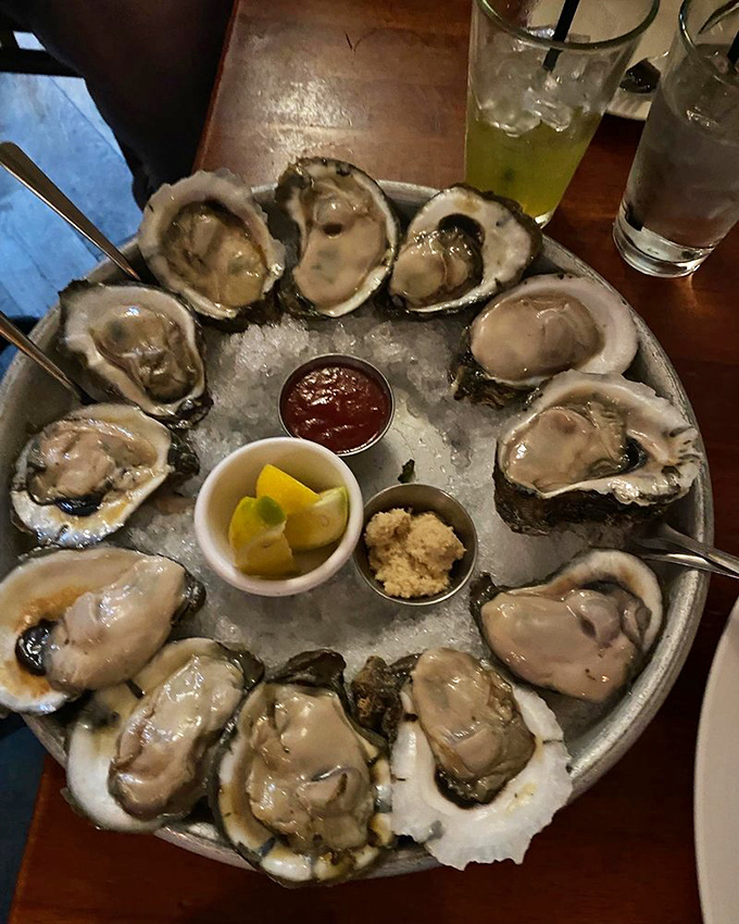 A dozen oysters arranged in a perfect circle like Neptune's poker game, with lemon wedges standing by for zesty reinforcement.