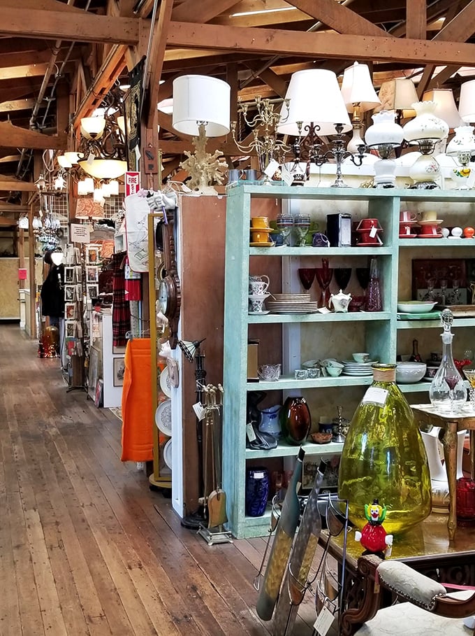 Chandeliers and dishware coexist in organized chaos&mdash;proof that lighting fixtures and dinner plates can live harmoniously when curated with vintage vision.