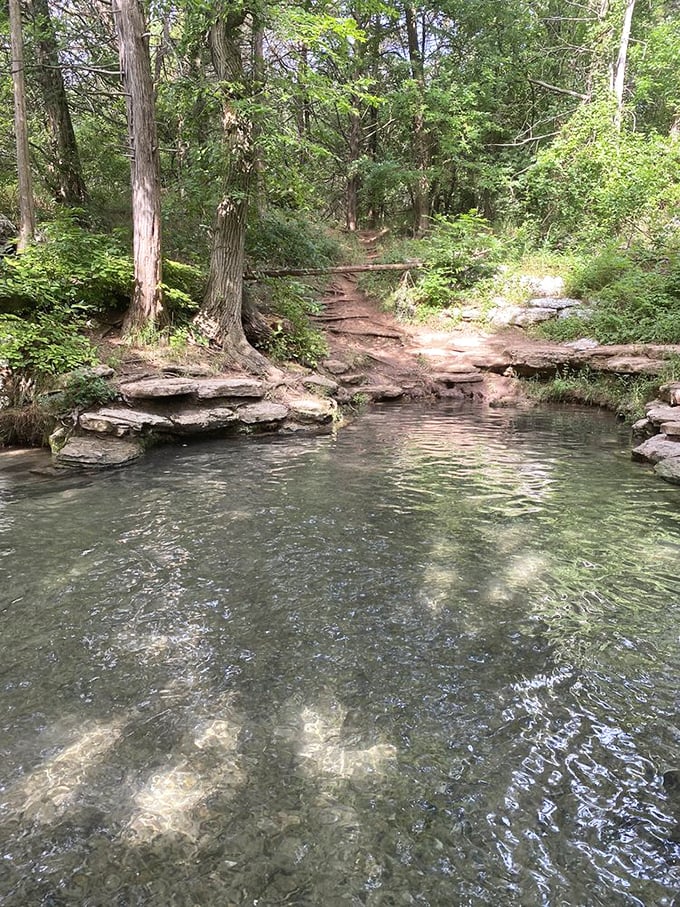 Lake views stretch toward the horizon, showcasing the surprising diversity of Oklahoma's landscape &ndash; part desert, part woodland, all spectacular.
