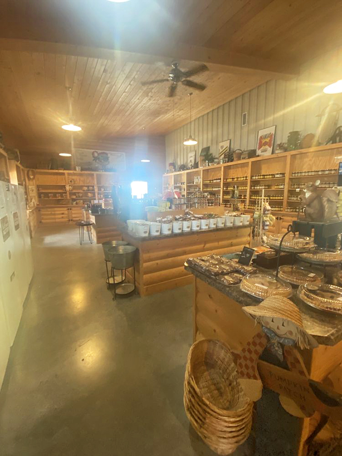 The wide-angle view shows what country store perfection looks like. Ceiling fans lazily spinning above treasures waiting to be discovered.