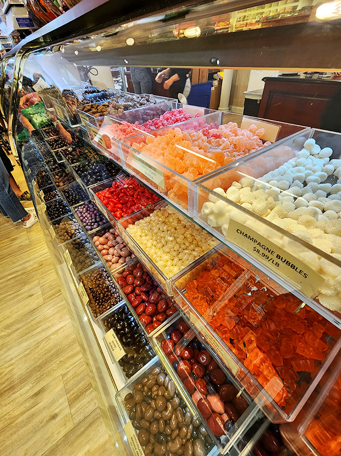 The gummy section offers a United Nations of chewy delights, where bears, worms, and unidentifiable shapes coexist in sugary harmony.