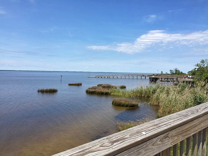 The serene Outer Banks view that makes the inevitable sugar crash completely worthwhile. Nature's palate cleanser after donut indulgence.