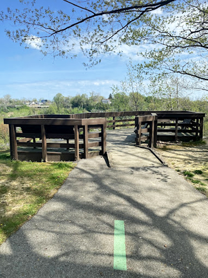 Nature's observation deck, where wooden railings frame views that no smartphone camera can truly capture but everyone still tries.