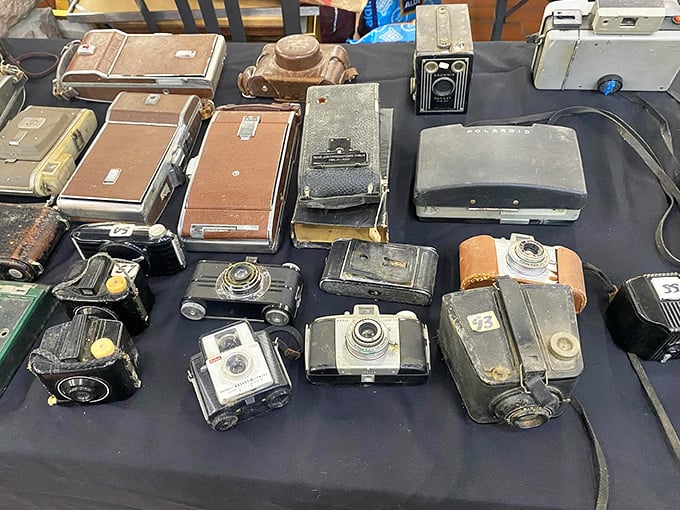 These vintage cameras aren't just antiques—they're time machines from an era when "filter" meant something you attached to a lens.