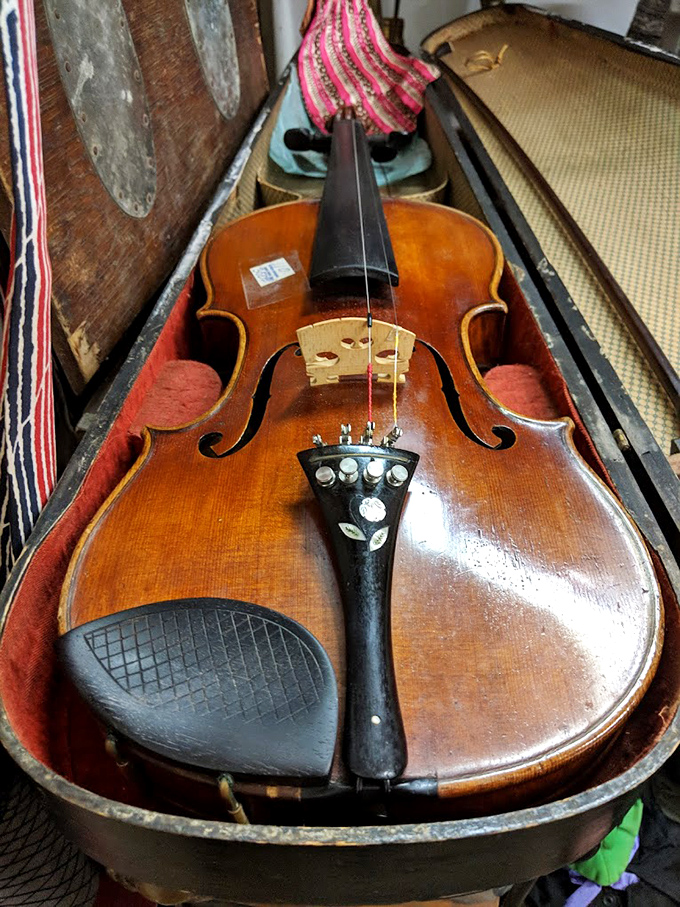 This violin rests in its velvet-lined case like Sleeping Beauty, waiting for the right musician to awaken its dormant melodies.