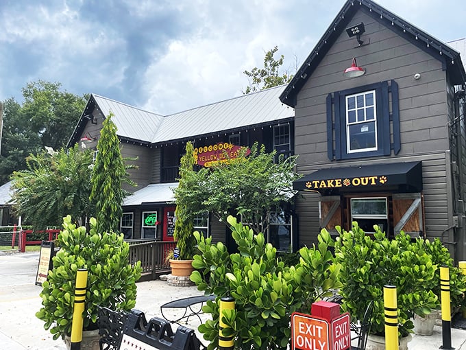 Yellow Dog Eats' charming historic building stands like a BBQ professor among students&mdash;distinguished, respected, and full of smoky wisdom.