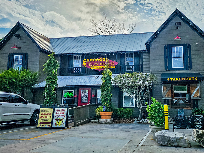 The lush greenery surrounding Yellow Dog Eats creates a secret garden atmosphere where smoked meat is the forbidden fruit.