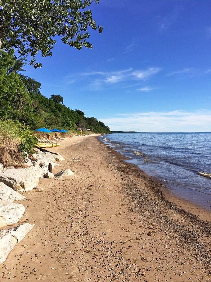 Sandy shores stretch toward the horizon where Lake Michigan pretends to be an ocean. This beach answers the question: "Who needs saltwater anyway?"