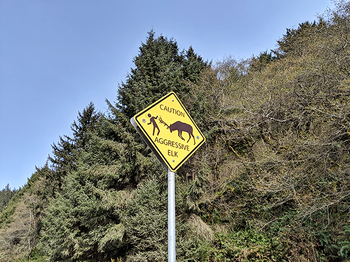 "Caution: Aggressive Elk" &ndash; nature's way of reminding you who's really in charge of this neighborhood.
