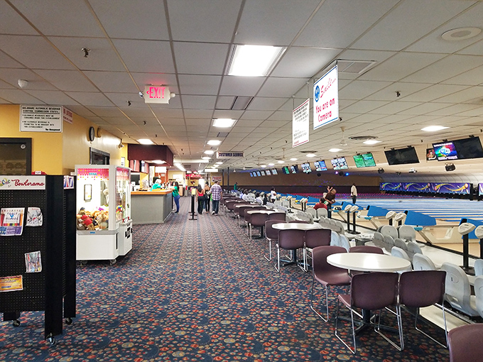 Where league night transforms ordinary accountants and school teachers into athletes with custom shirts and very serious pre-roll rituals.