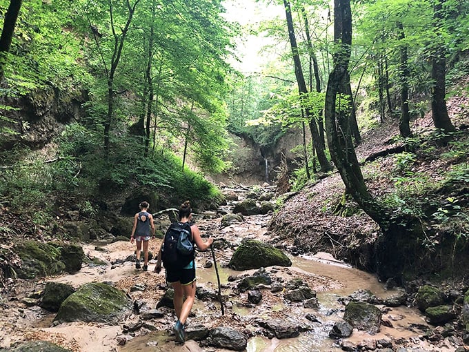 Adventure beckons along Clark Creek's hiking trails, where determined explorers discover Mississippi's unexpected natural wonders.