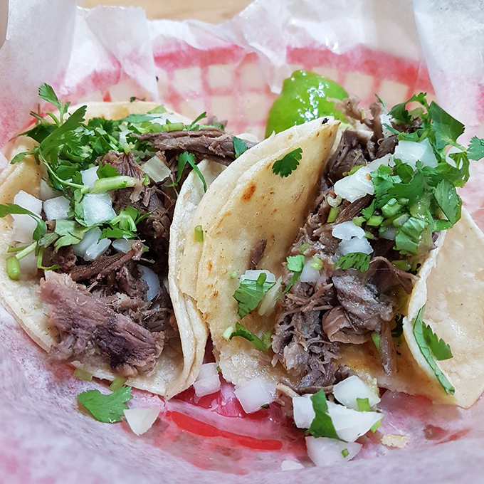 These barbacoa tacos aren't just food&mdash;they're time travel to a Mexican grandmother's Sunday kitchen. The cilantro sprinkle is pure poetry.