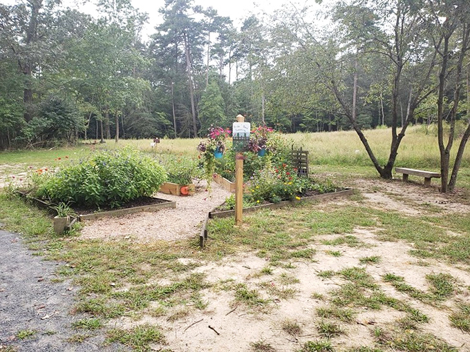 This humble garden patch brings a touch of domesticity to the wilderness&mdash;where butterflies and campers alike find nourishment.
