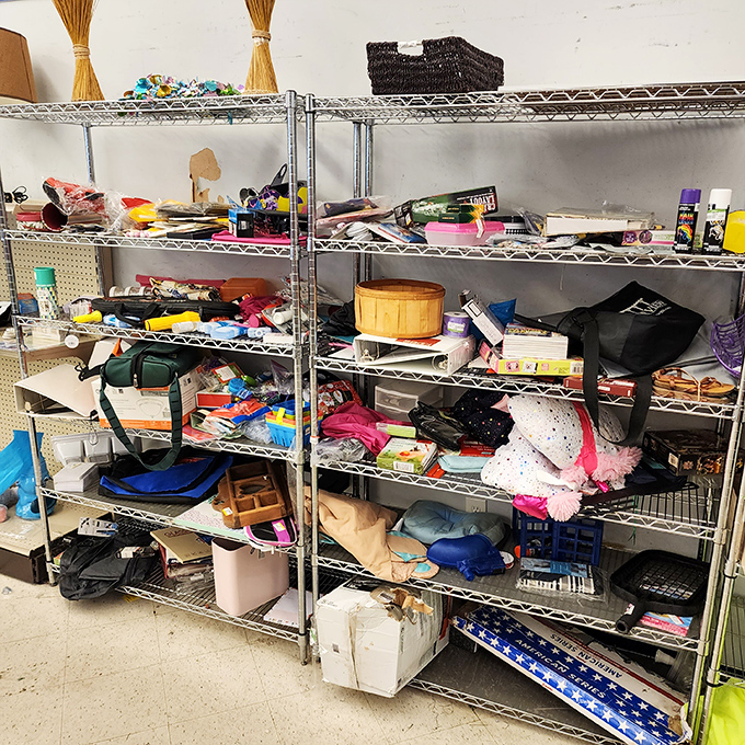The "Wares" section: where forgotten kitchen gadgets and once-cherished knickknacks await their second act in someone's home.