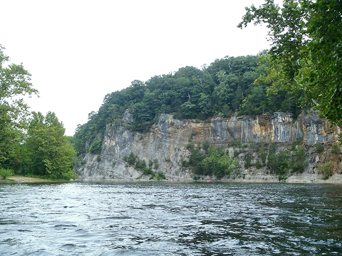The Shenandoah River flows beneath limestone cliffs like a postcard come to life. Hemingway would've written differently if he'd fished these waters instead of Michigan's.