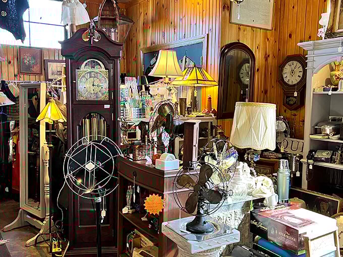 Timepieces that have counted hours through multiple centuries. That grandfather clock has seen more family drama than a lifetime of soap operas.