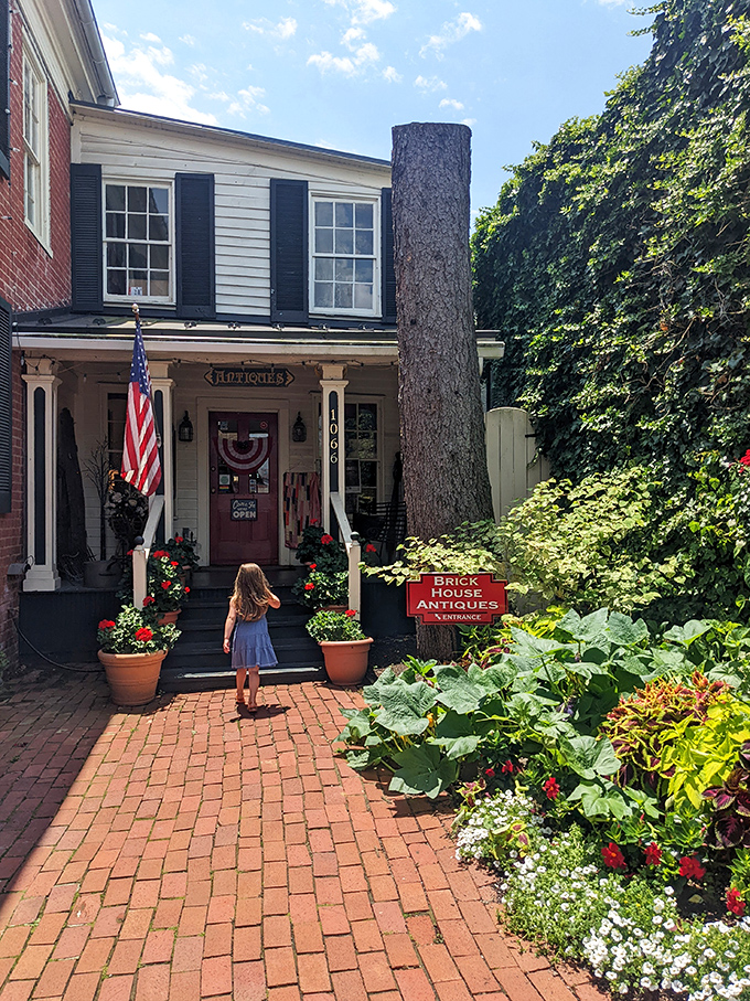 Historic buildings stand shoulder to shoulder along Court Street, their facades a timeline of architectural evolution through the centuries