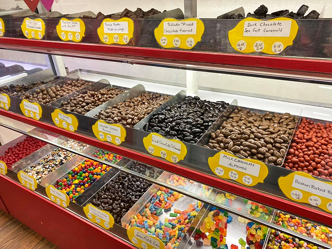 A rainbow of treats awaits, from chocolate-covered everything to colorful candies that make choosing just one flavor mathematically impossible.