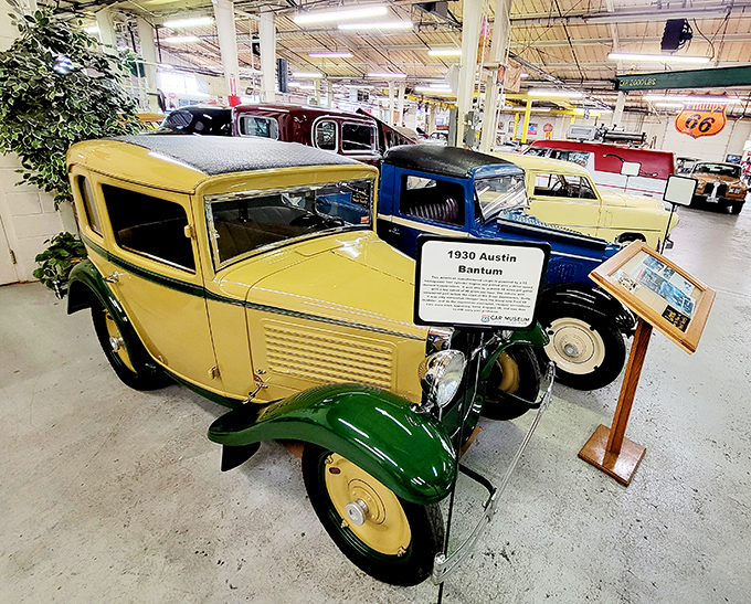 The cheerful yellow Austin Bantam brings surprising European charm to the American heartland. Small in stature but enormous in personality.