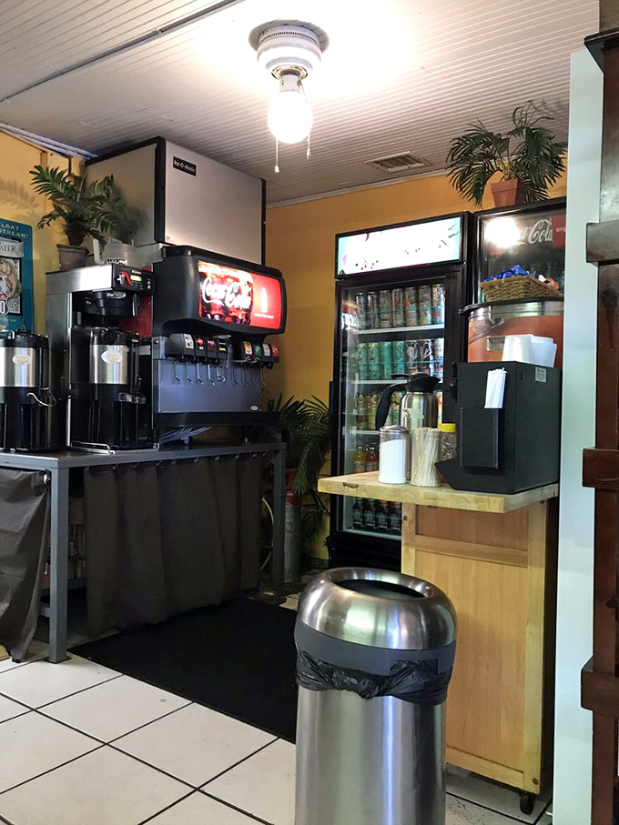 The beverage station stands ready for caffeine emergencies, with potted plants adding that "someone's cool aunt decorated this place" vibe.