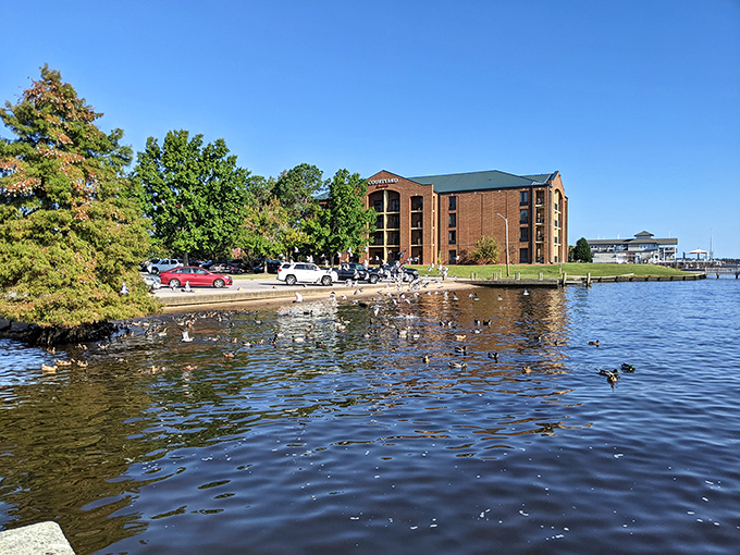 The DoubleTree Riverfront—where you're never sure which view is better: the peaceful water or the warm cookie at check-in.