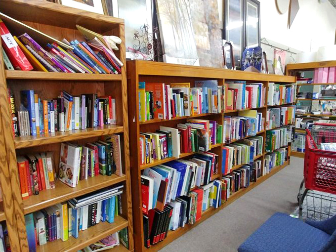 The book section feels like a small-town library where dog-eared paperbacks and pristine hardcovers wait to transport you to different worlds.