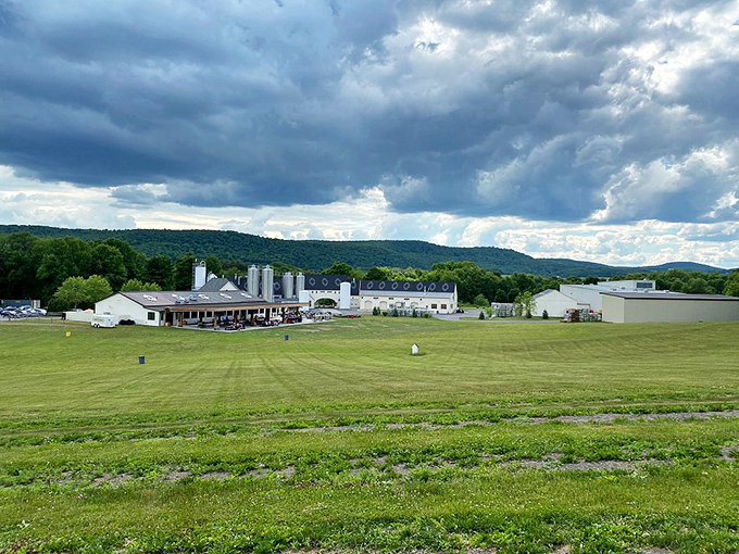 Clark Sports Center: Modern meets traditional at this sprawling sports complex, where future Hall of Famers might be practicing their swings right now. 