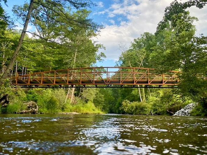 This rustic footbridge spans the Davidson River, connecting trails and offering anglers prime access to some of the East's best trout fishing.