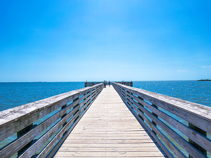 A wooden pier stretches toward the horizon, inviting contemplative walks. The perfect spot to digest both lunch and the day's adventures on Florida's Nature Coast.