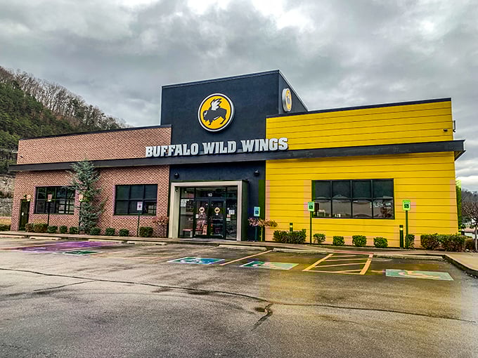 Buffalo Wild Wings brings that sports-watching energy where the sauce heat levels correlate directly with how loudly you'll cheer for your team.