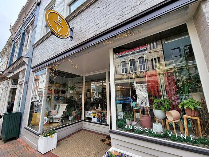 Burrow & Vine's storefront practically whispers, "Come in, touch everything, and leave with plants you never knew you needed." Retail therapy at its greenest.