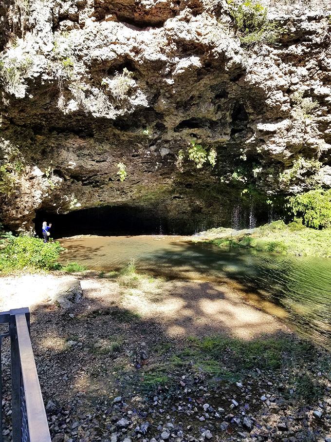 The falls' ancient limestone cave creates a natural amphitheater. You half expect to find hobbits or at least some very sophisticated raccoons living inside.