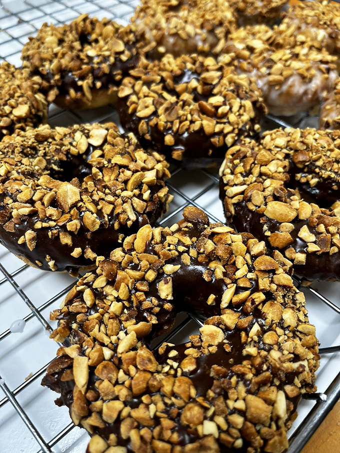 Chocolate-glazed donuts studded with nuts create the perfect textural contrast &ndash; smooth meets crunchy in a relationship that actually works.